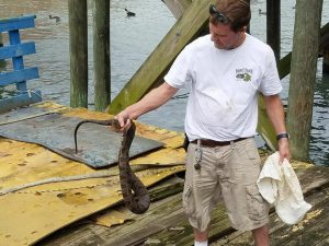 PHOTO GALLERY - The Snake Chaser