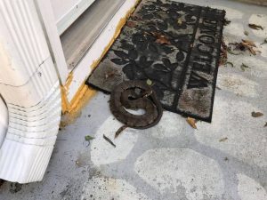 PHOTO GALLERY - The Snake Chaser